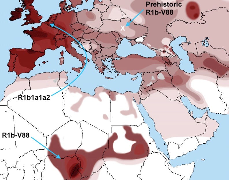 The haplogroup is dead, long live the haplogroup! (part 2)