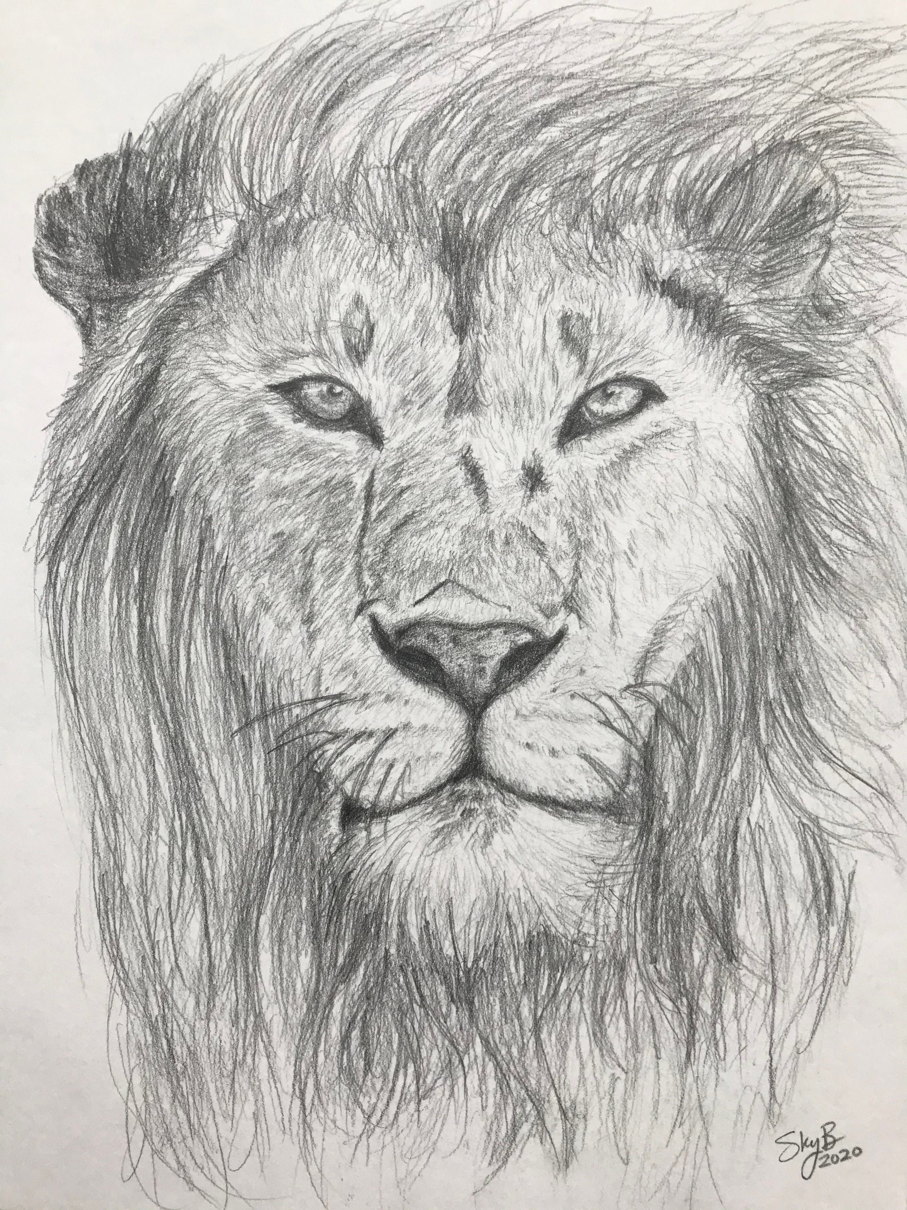 Birthday Bear - by Skylar - SkyB Art