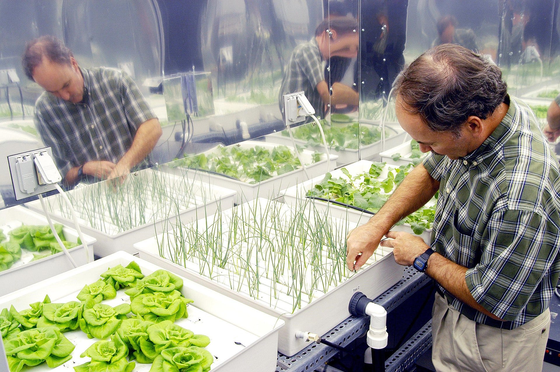Hydroponic Growing. The Future Demystified. Hydroponic Growing. The Future Demystified.