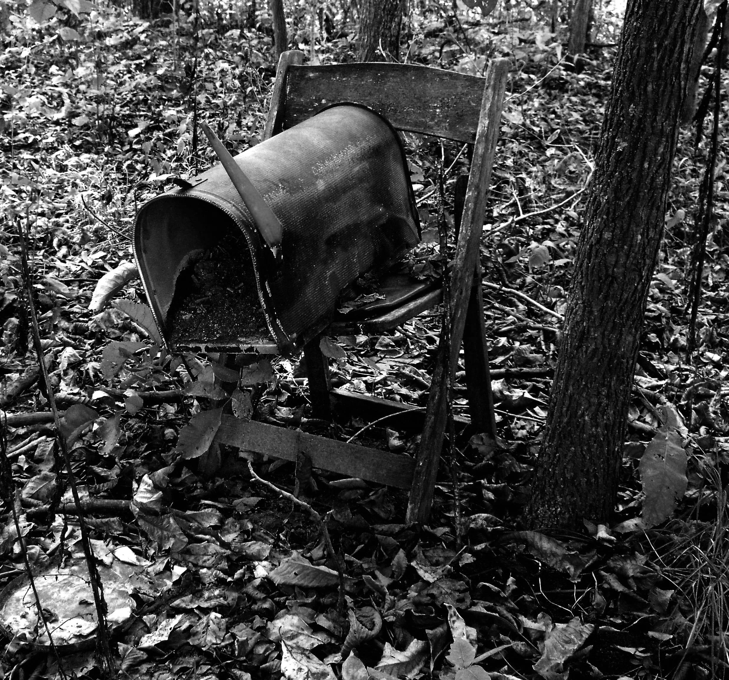 Honesty box - by Andy Kenworthy - Sustainabile