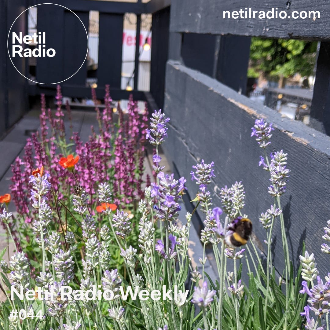 Netil Radio Weekly - Netil Radio Newsfilter