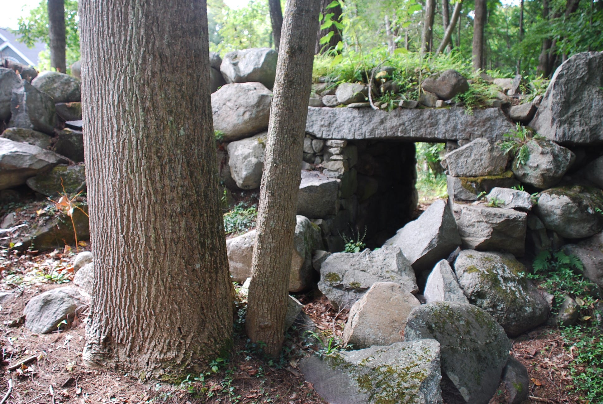 Mystery Monday: Turtle Mound, part 2 - by Elaine Clements