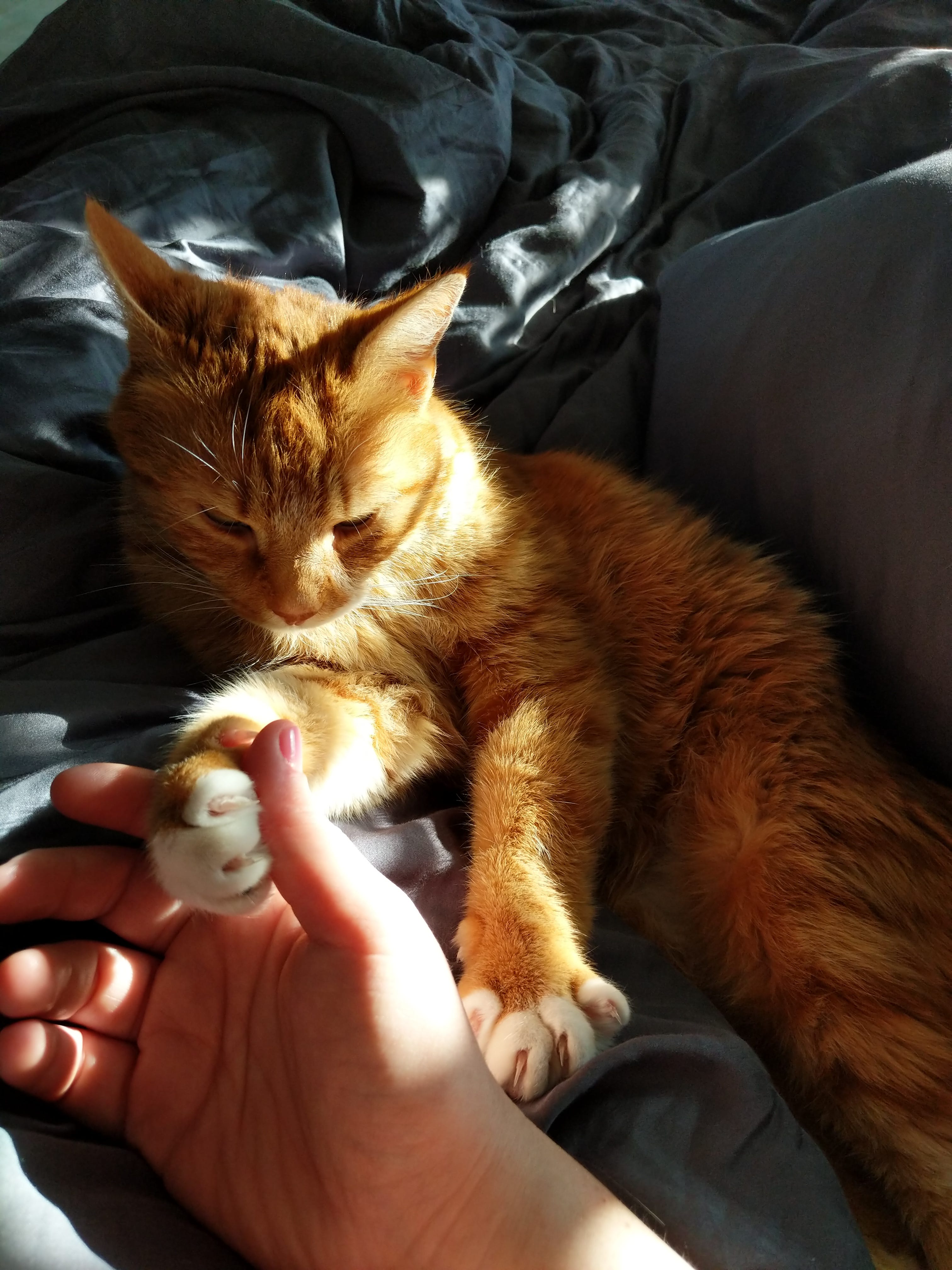 GRITTY THE CHAOS GOD - by Jordyn Ruth - HOW ARE YOU?