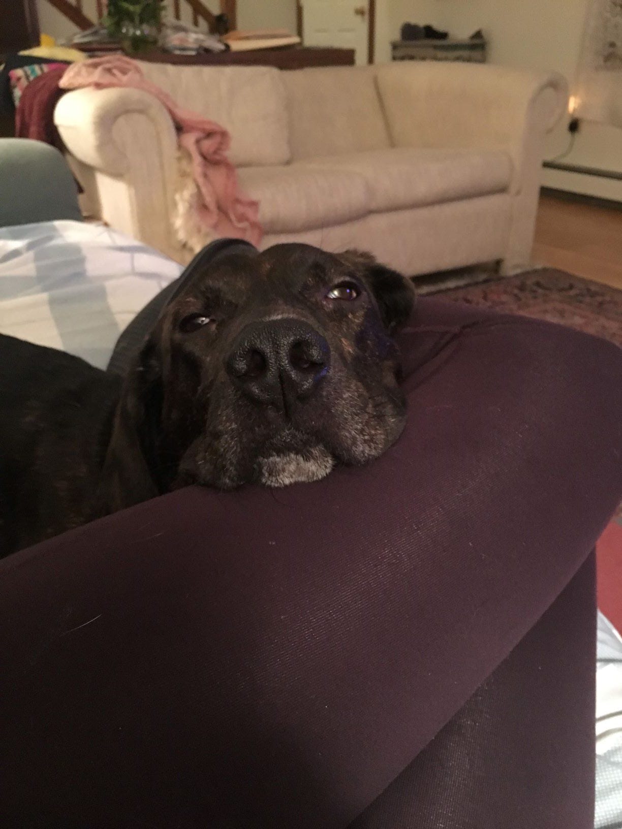 Monday! Glorious Monday - by Nicole Cliffe - Nicole Knows