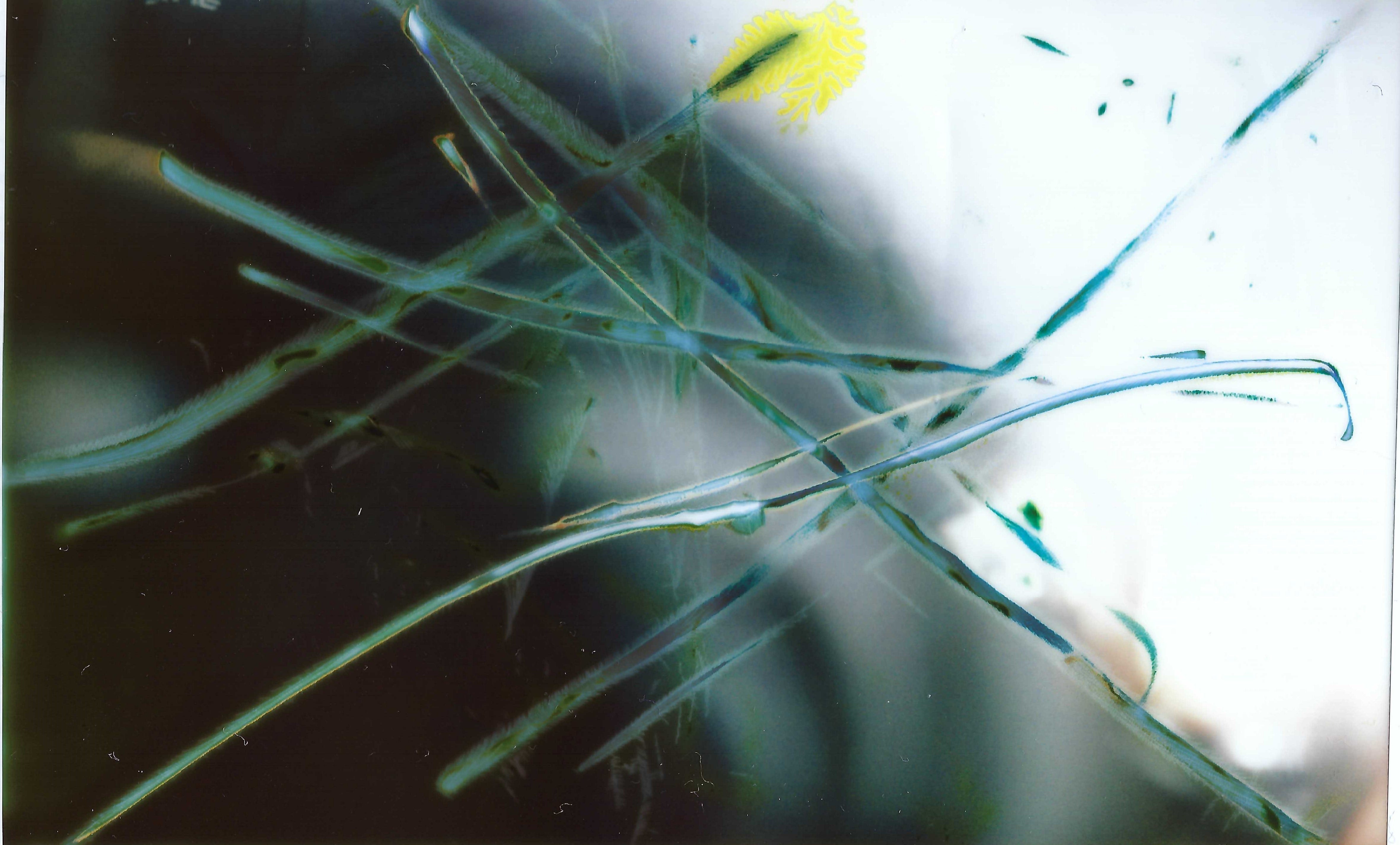 Vincent Jenewein | Substack