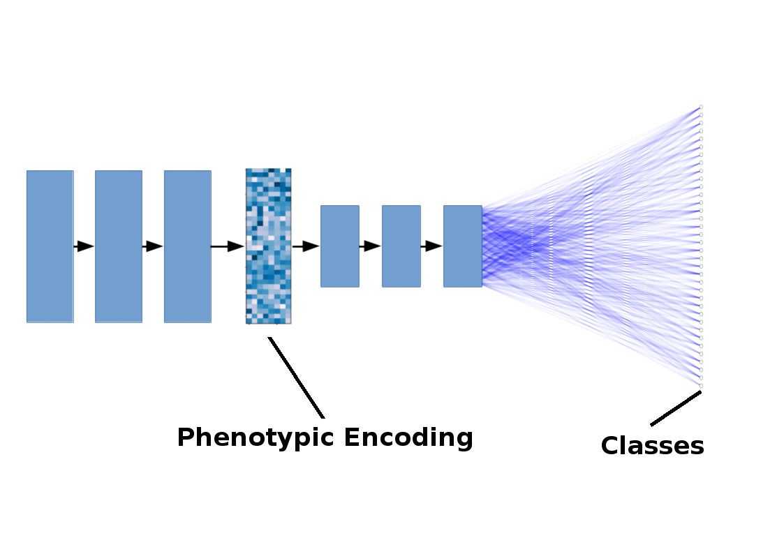 How Deep Learning is Accelerating Drug Discovery in Pharmaceuticals