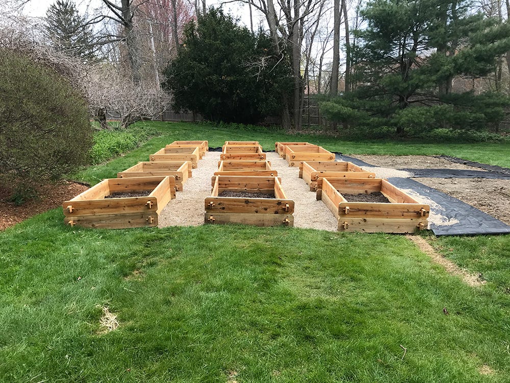 The Sad Garden, Part 2 - by J. M. Elliott - Glenshee