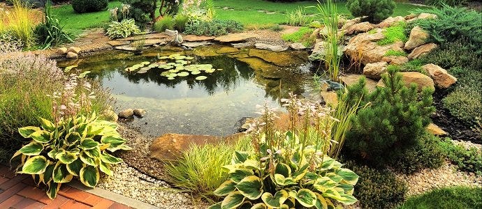 Permaculture Ponds - by Pentti Linkola Stan