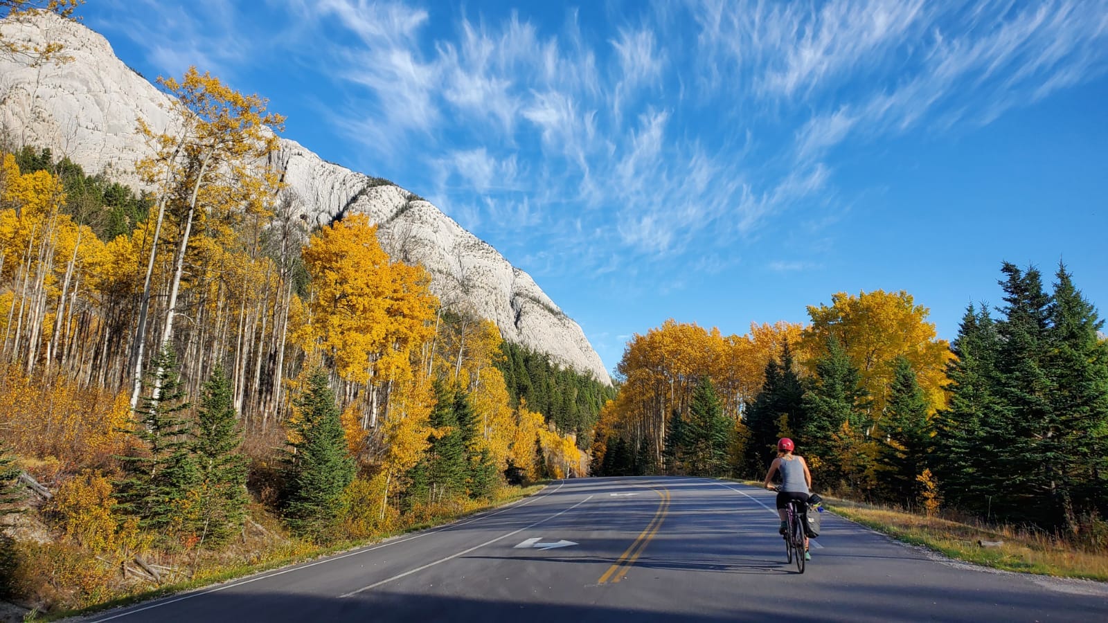 Go Outside: The Yikes Bikes edition!