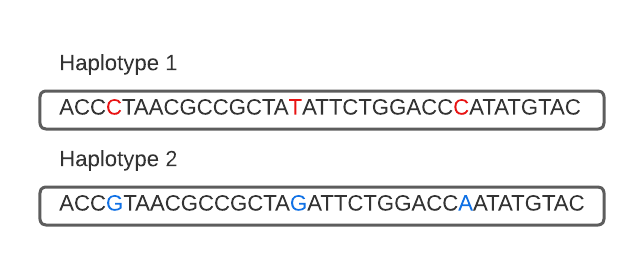 The haplogroup is dead, long live the haplogroup! (part 1)