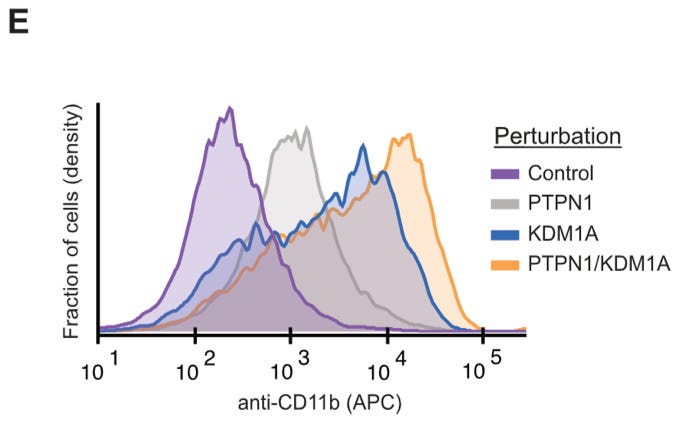 Genotype-phenotype maps - by Elliot Hershberg