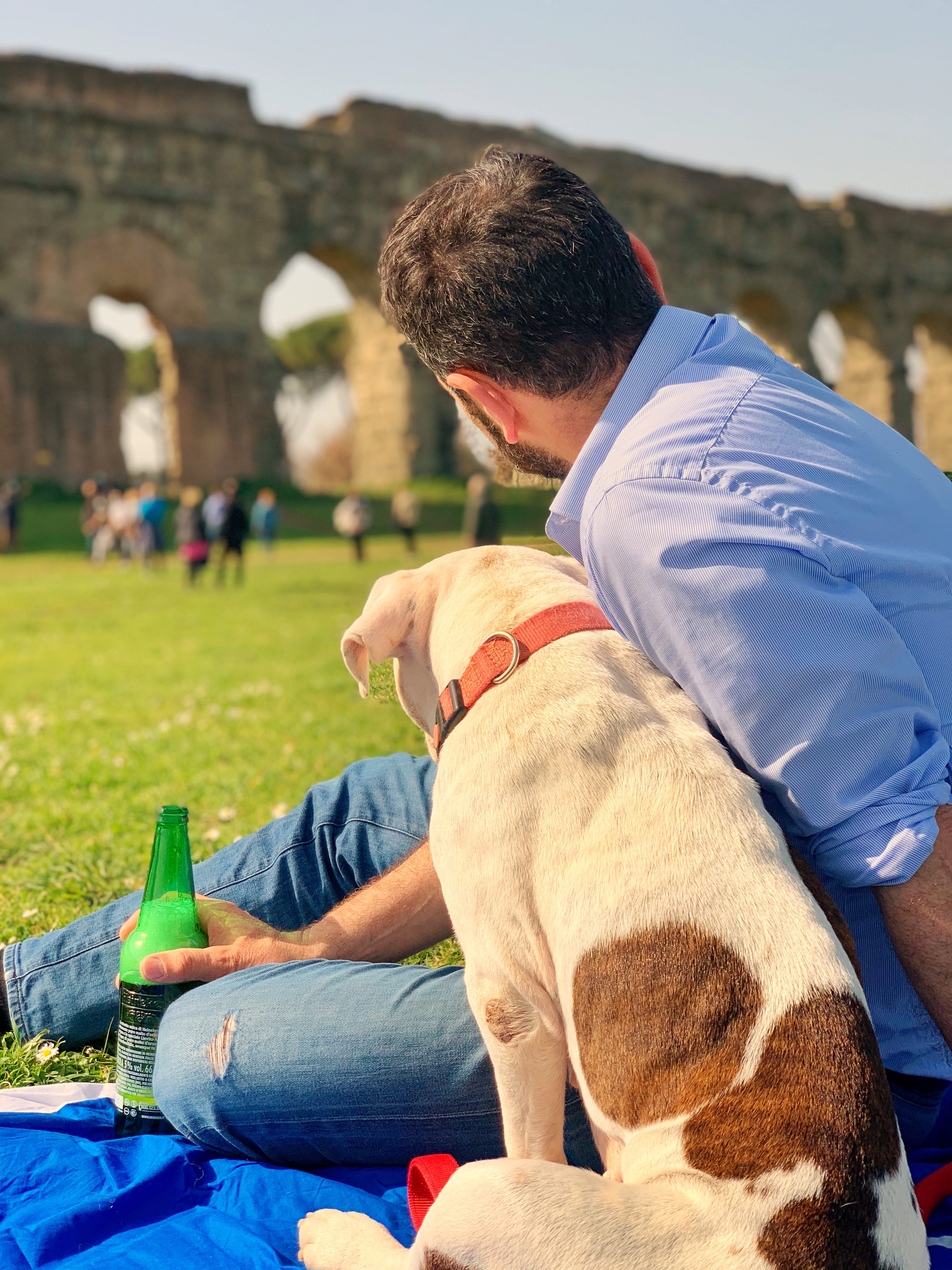 The Role of Dogs in Rome, from Antiquity to Today