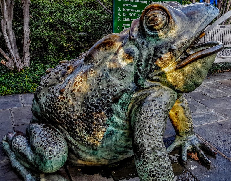 The Man Who Lost His Lids - by Con/Jur/d - gate(less)