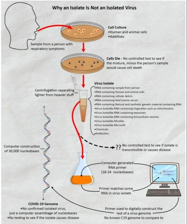 Virus Isolation Part I - by Brian - Genki Man’s Perspective