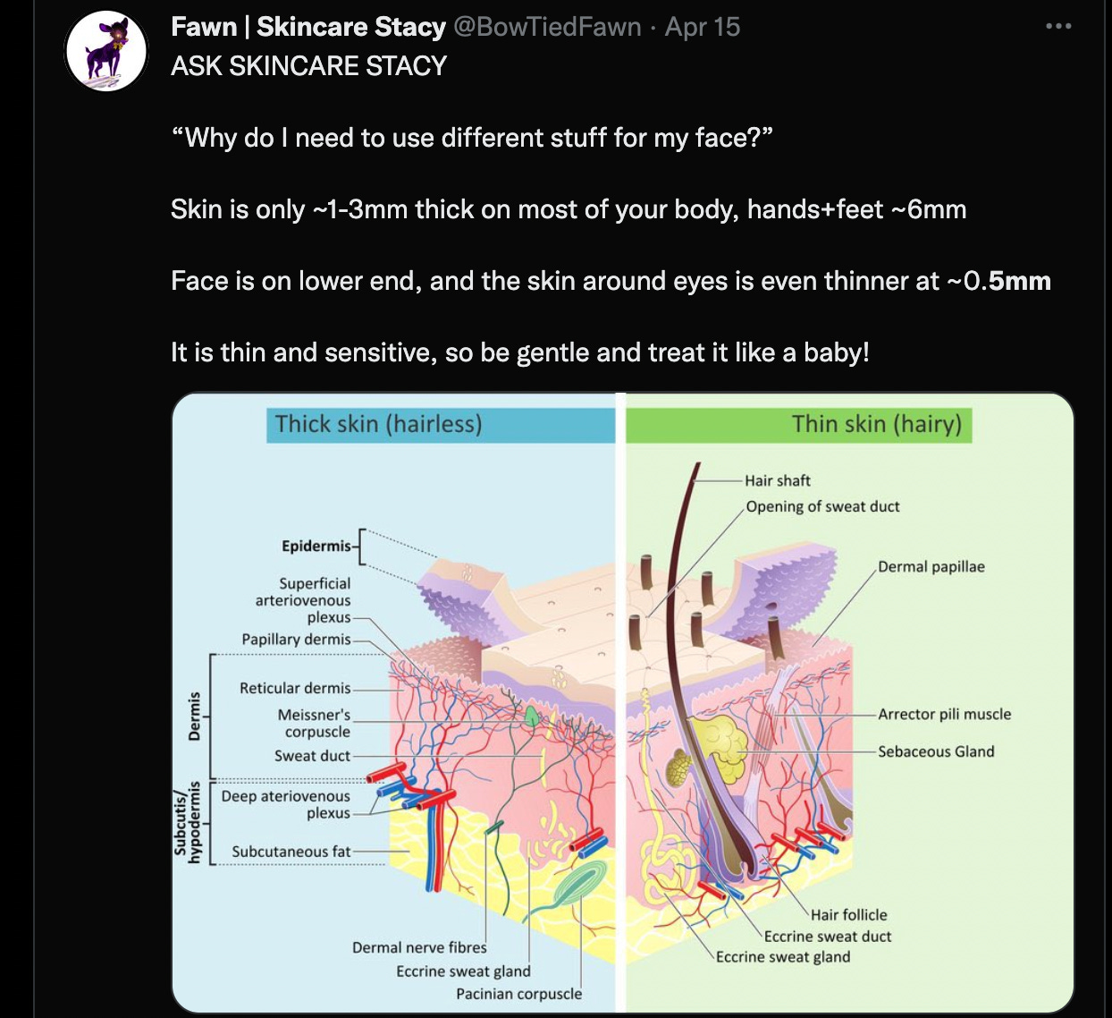 All About Anti-Aging: Our Toolkit - by Fawn B.