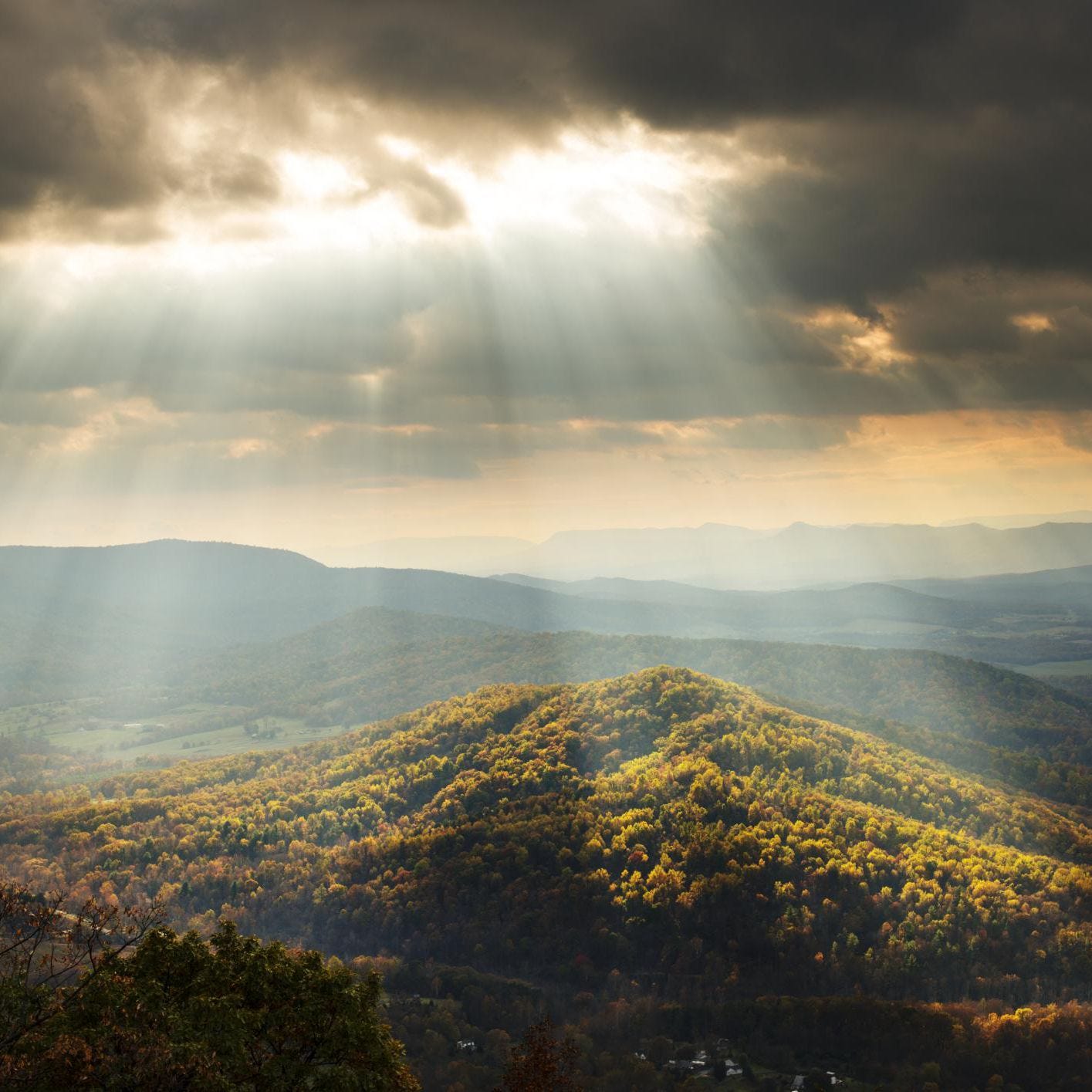 THE SEARCH FOR AN ELYSIAN PLAIN.{#A01} - by F.D.I