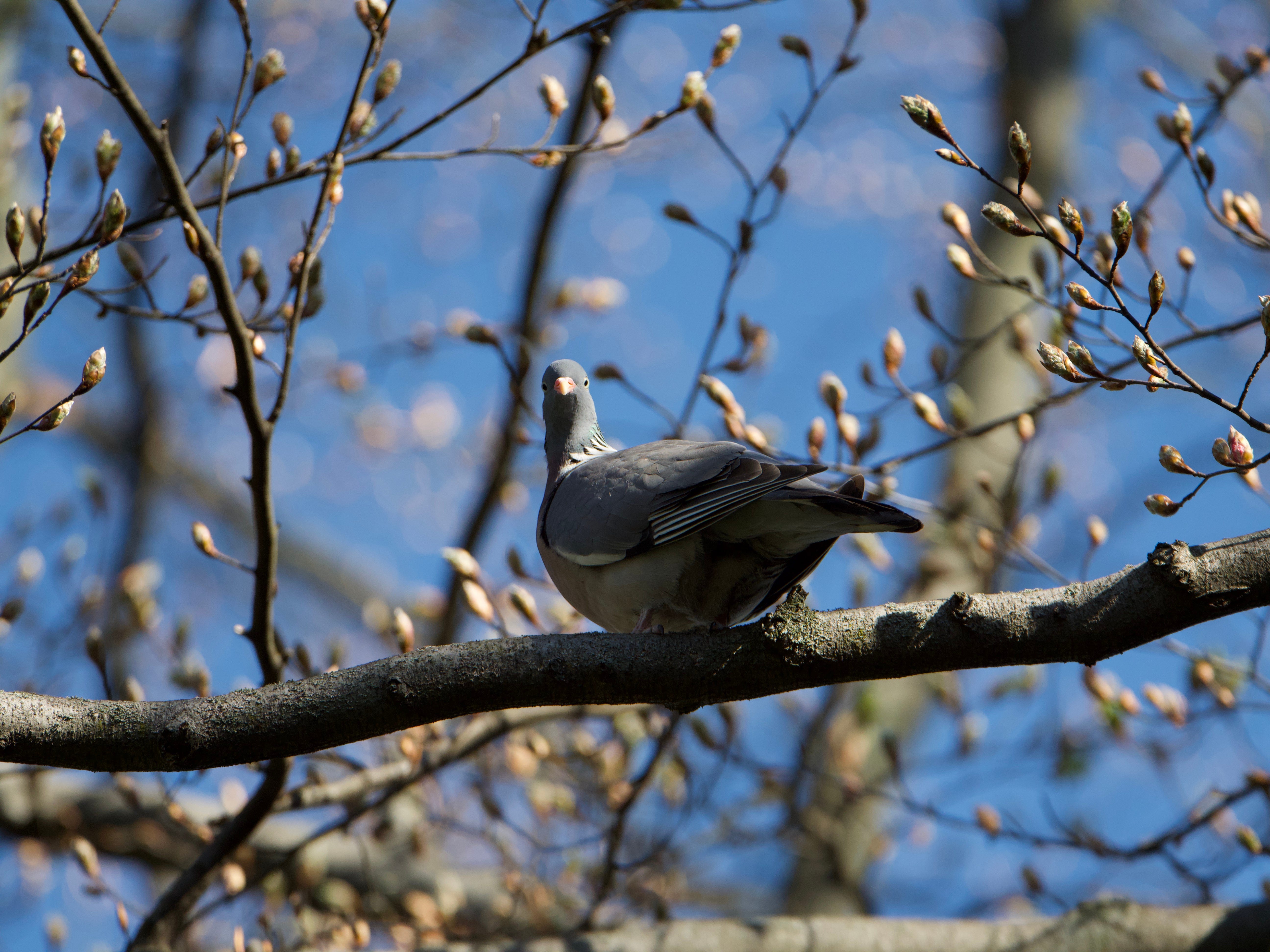 Who's there? - by Blake Irvin - Personal Geographic