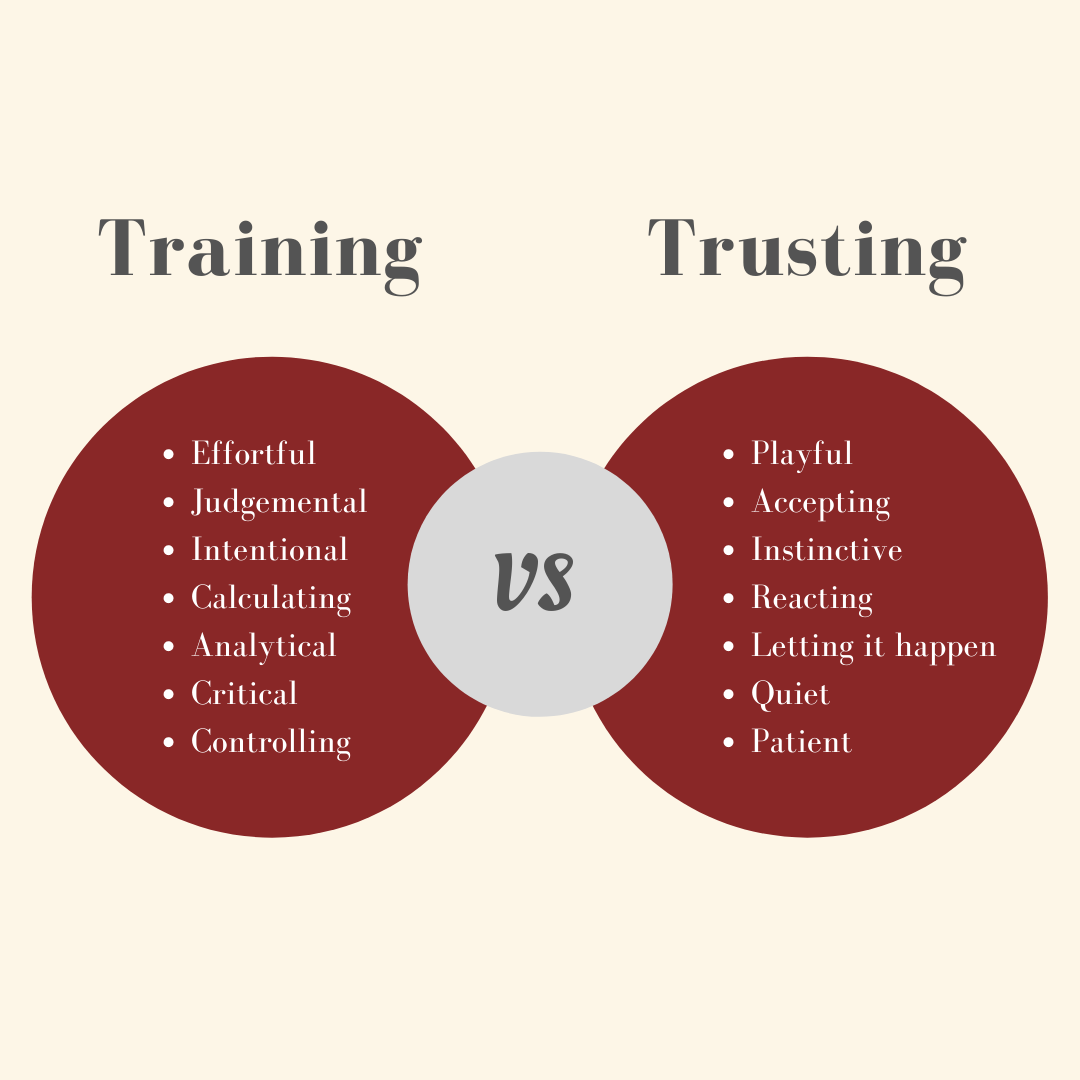 Trust your Training - 3 Points by Brian Sullivan