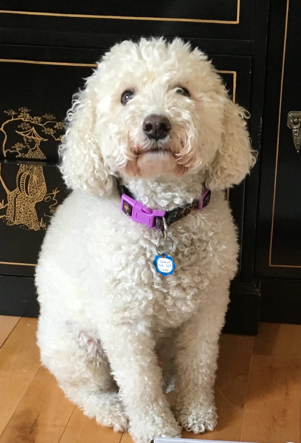 Employee No. 1 - by ken whyte - SHuSH, by Kenneth Whyte