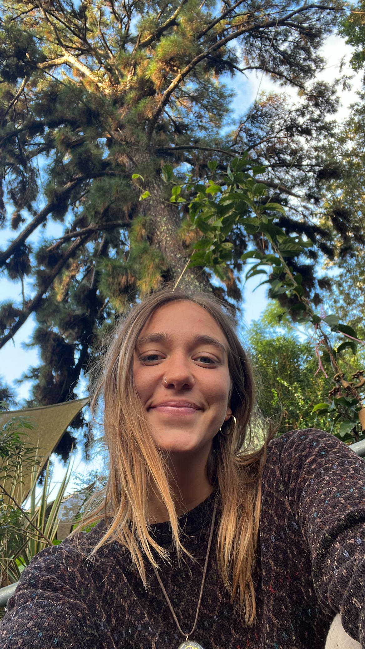 Emily Luce | Substack