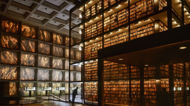 The Rabbit Hole 🕳🐇 issue no.31 - by Patricia