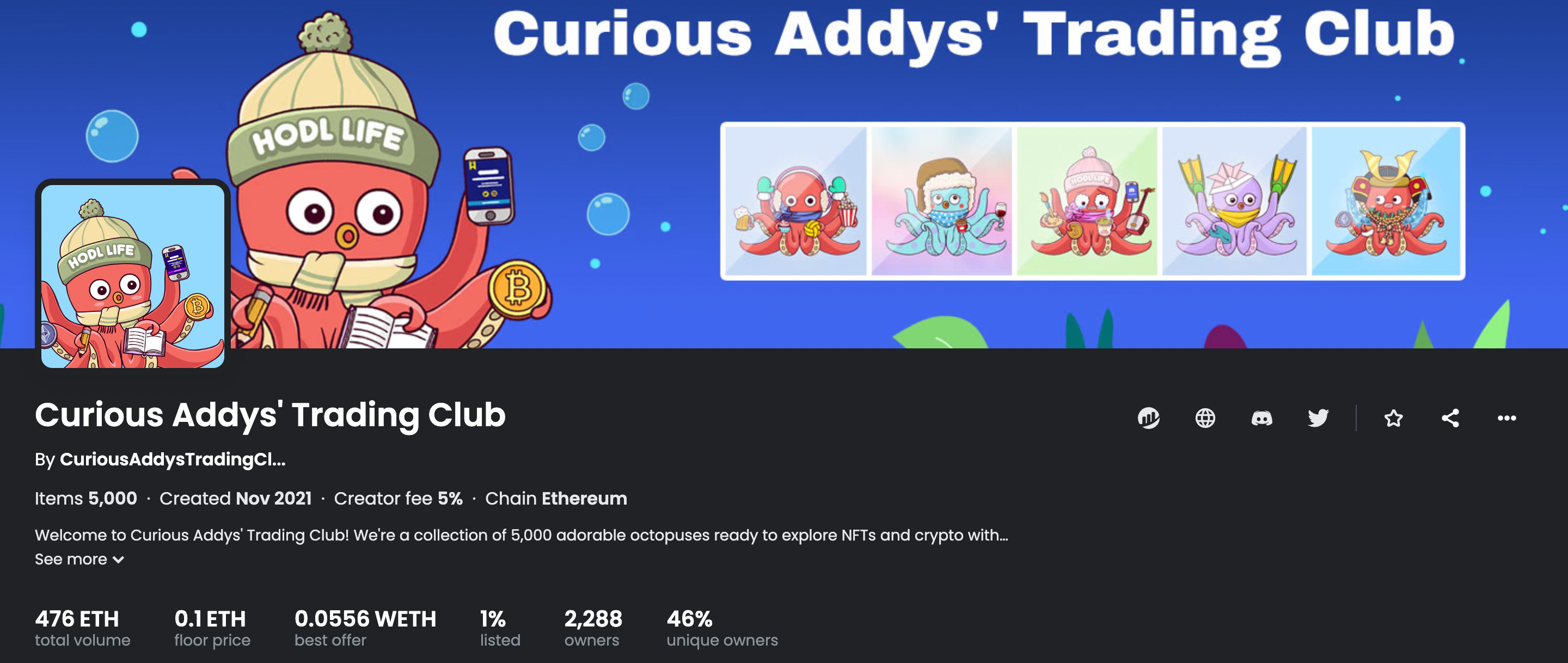 Letter 13: A Curious Year of Lessons - Curious Addys