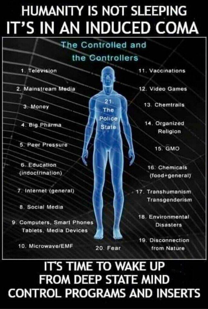 IRONIC MEMES - by Frances Leader - Uncensored