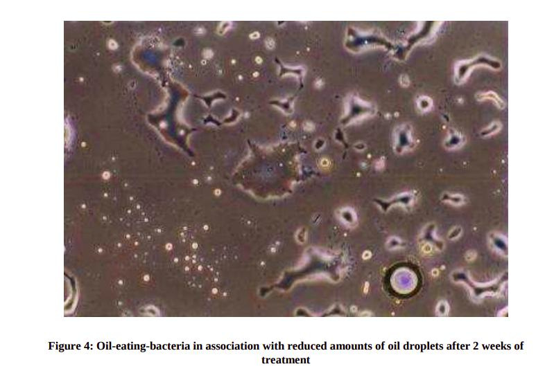 An Introduction To BilgeRemed
