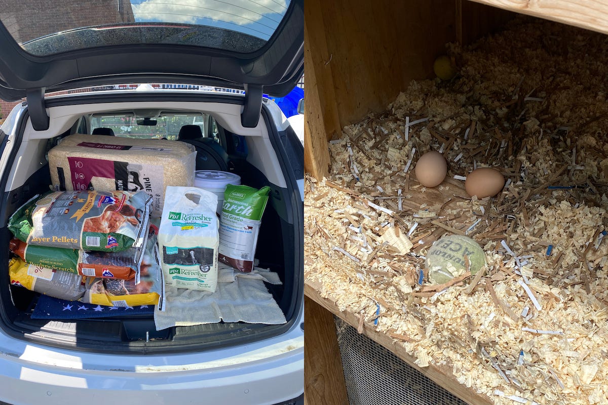 What's Cooking | Jonathan E. Chen | Substack