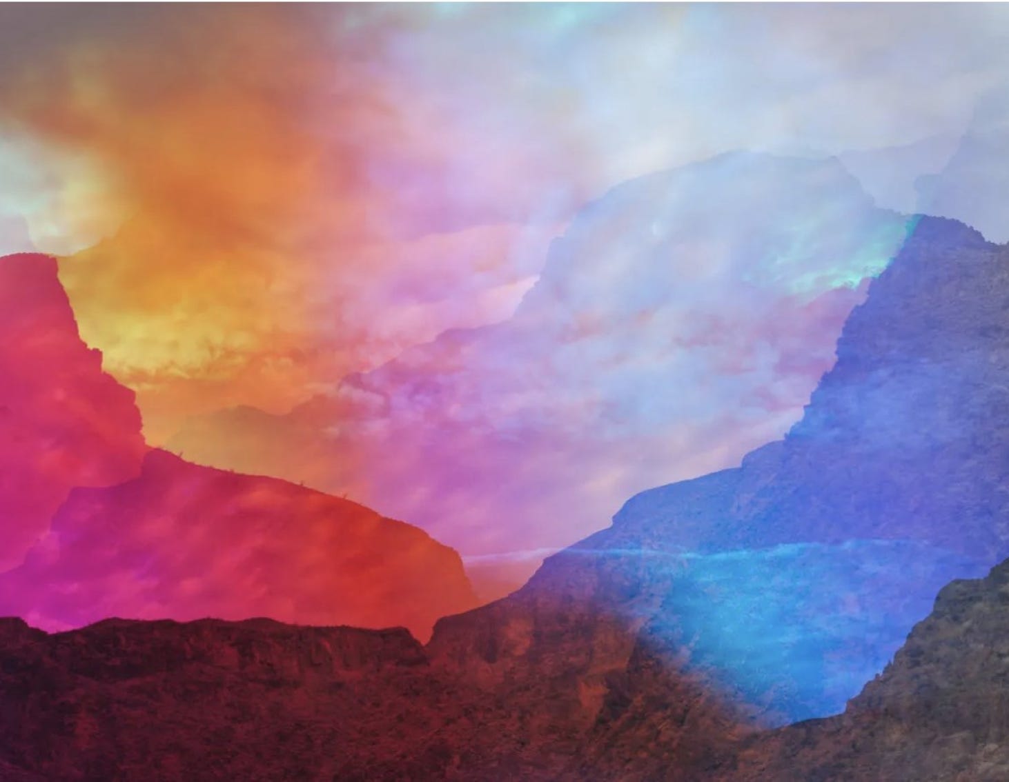 Palms - by Albert Dong - Frame