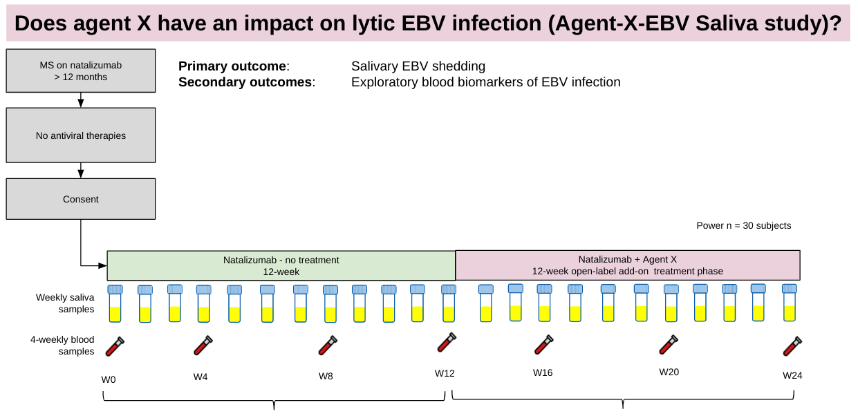 EBV antivirals to treat MS - by Gavin Giovannoni