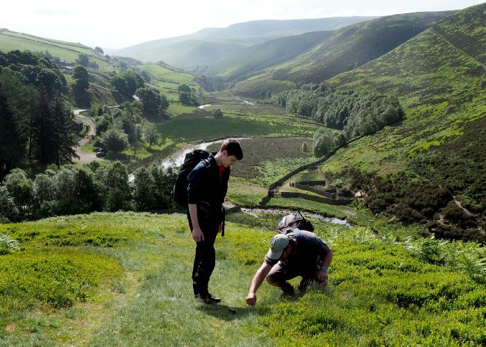Greening The Moors - by David Bocking