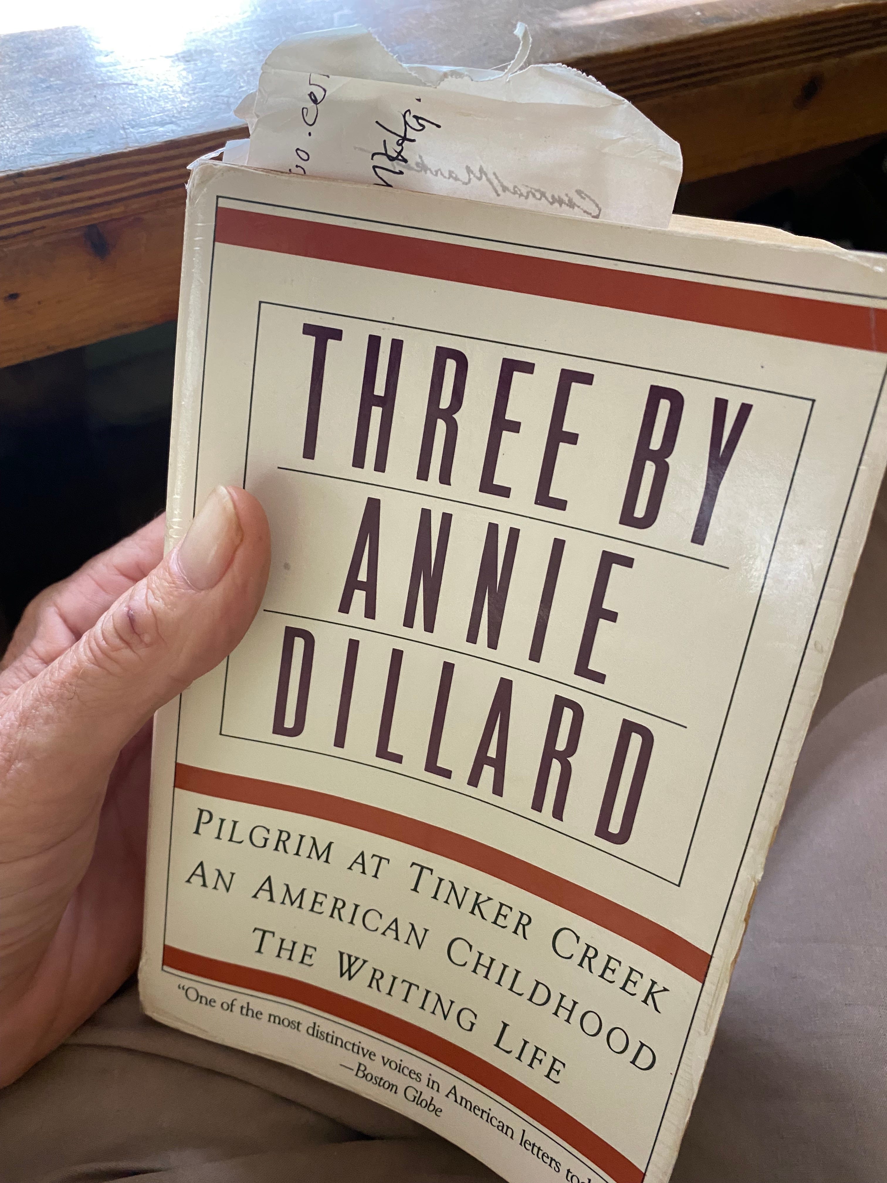 The Writing Life - by rohn bayes - the rohn report