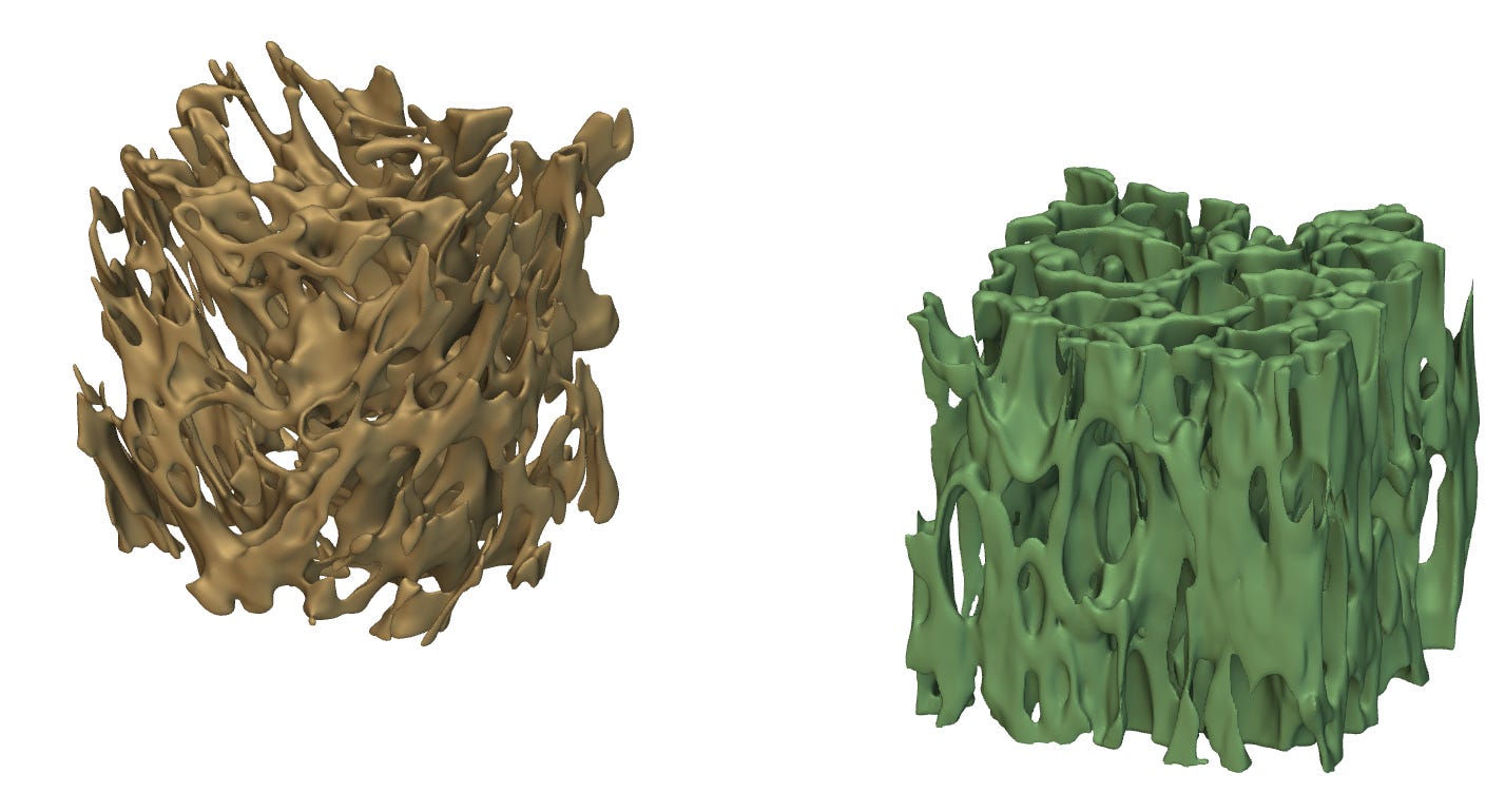 Matt Shomper on Computational DfAM & Biologically Inspired Engineering