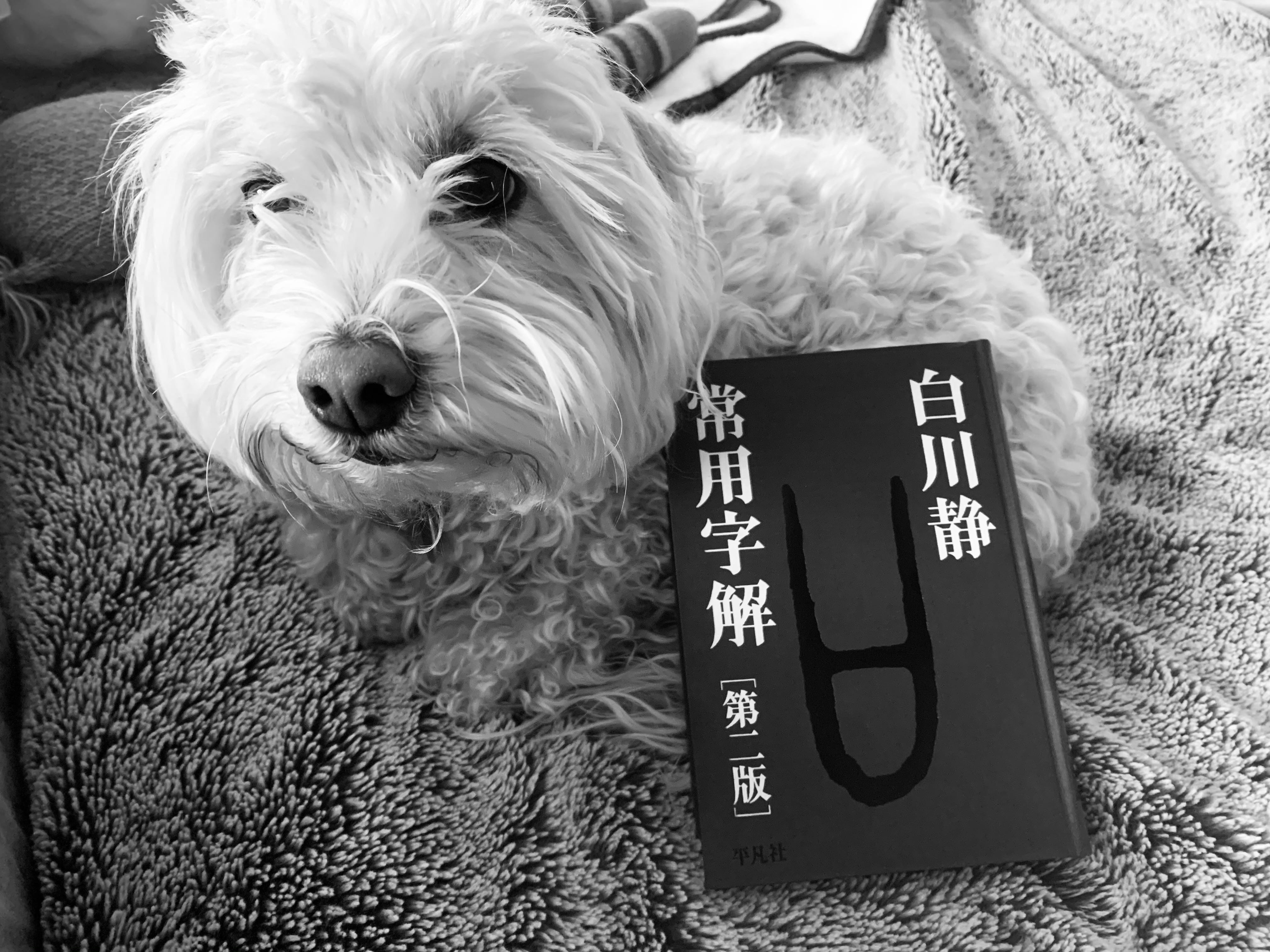 Playing with Kanji - by Leanne Ogasawara
