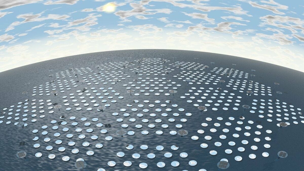 Harvard Researcher Leads Grassroots MEER:ReflEction Project to Save ...