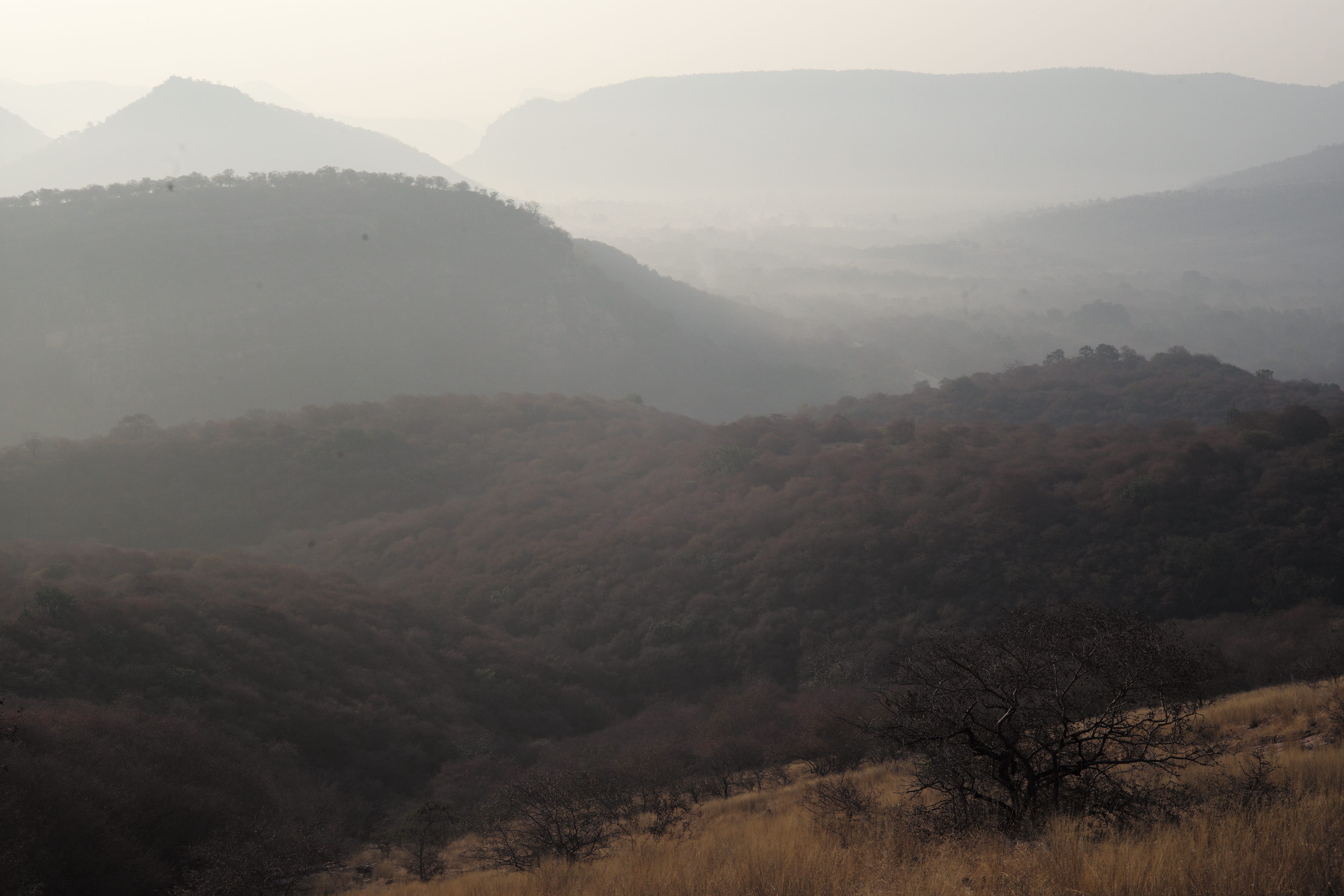 Yet Untitled - 001 - by Vasant Nath - “Yet Untitled”