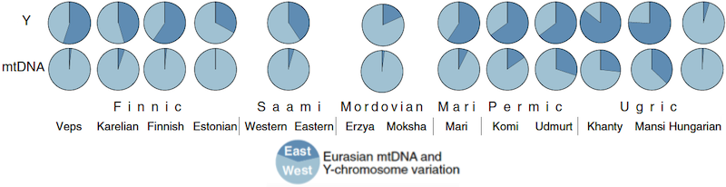Hungarians as the ghost of the Magyar confederacy