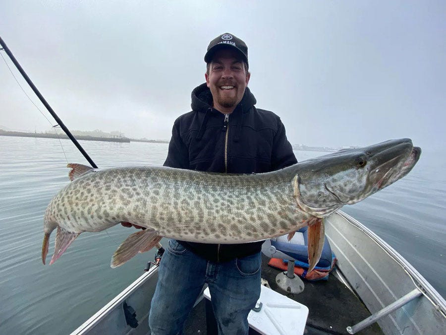 A Real Life Sea Monster in Toronto - by Adam Bunch