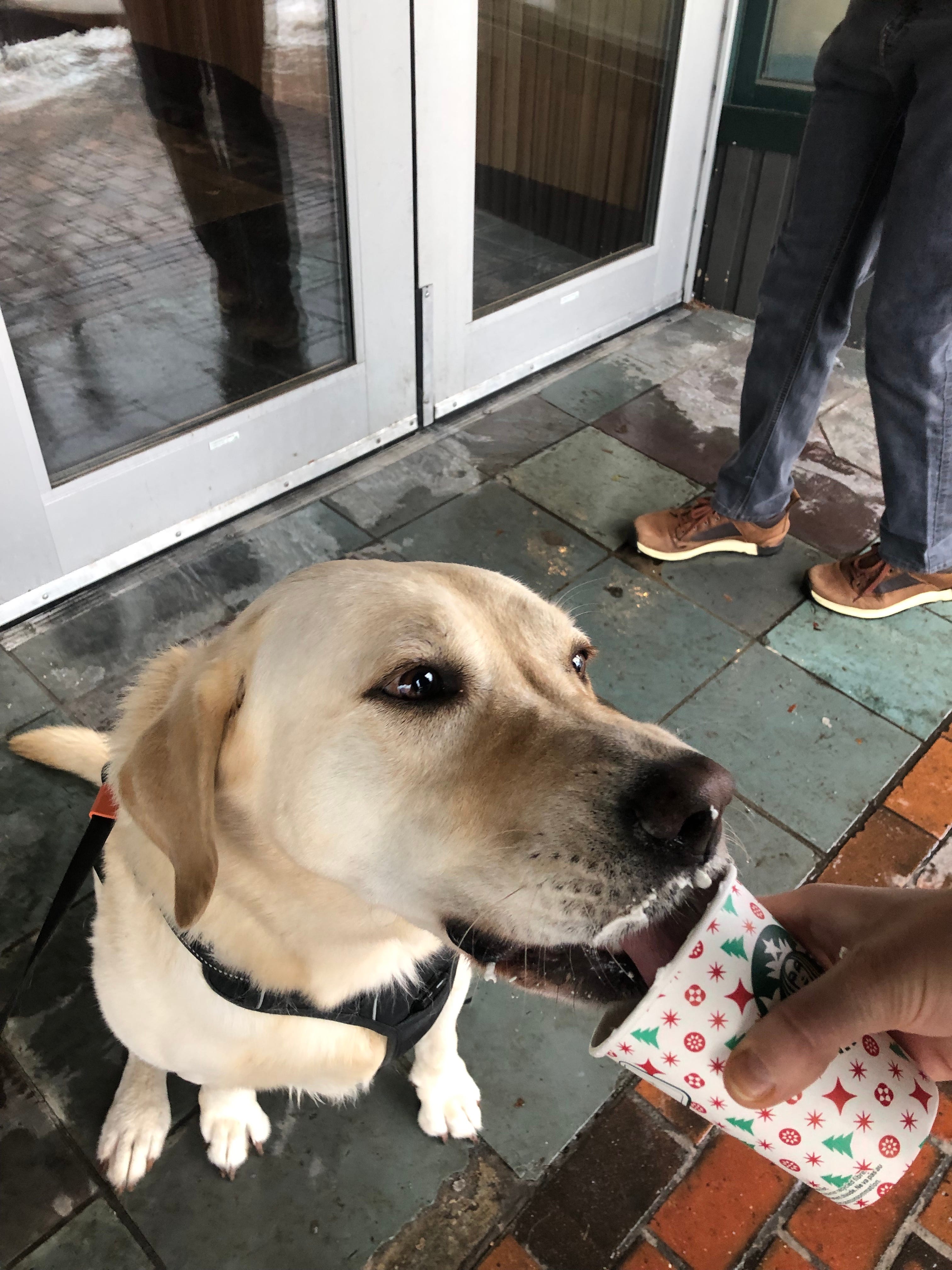 Happy New Year! - by David Ward - Adjusting the Dial