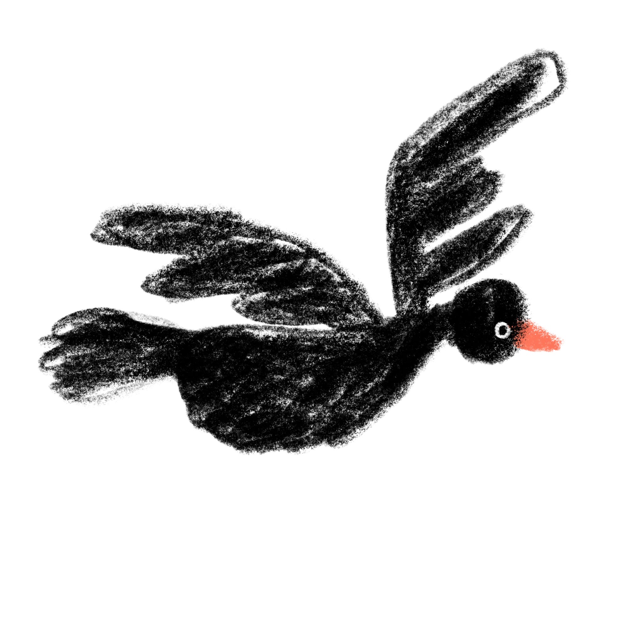 Catherine Fortey | Substack