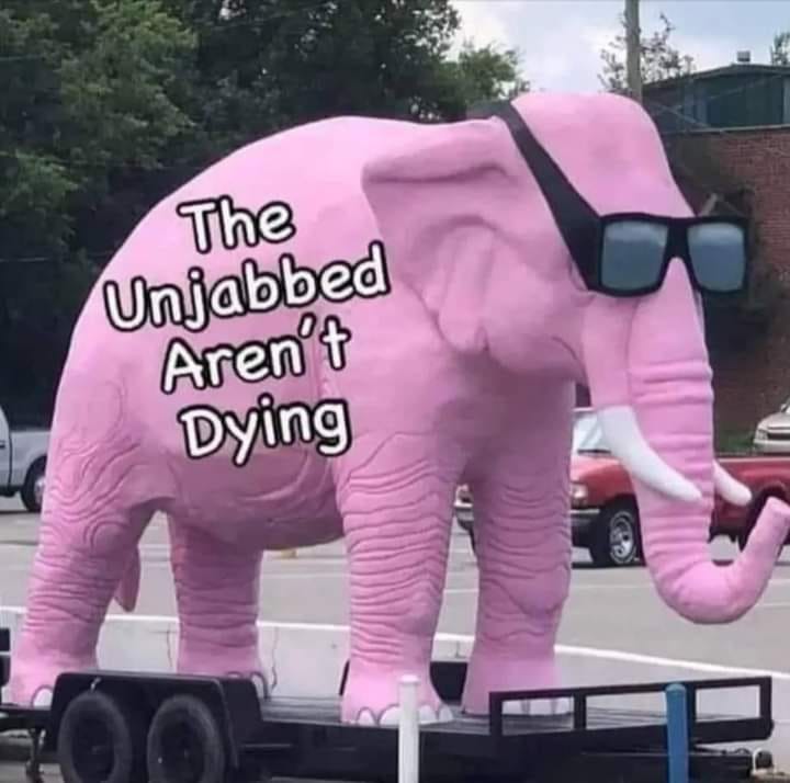 MEME BREAK - by Frances Leader - Uncensored