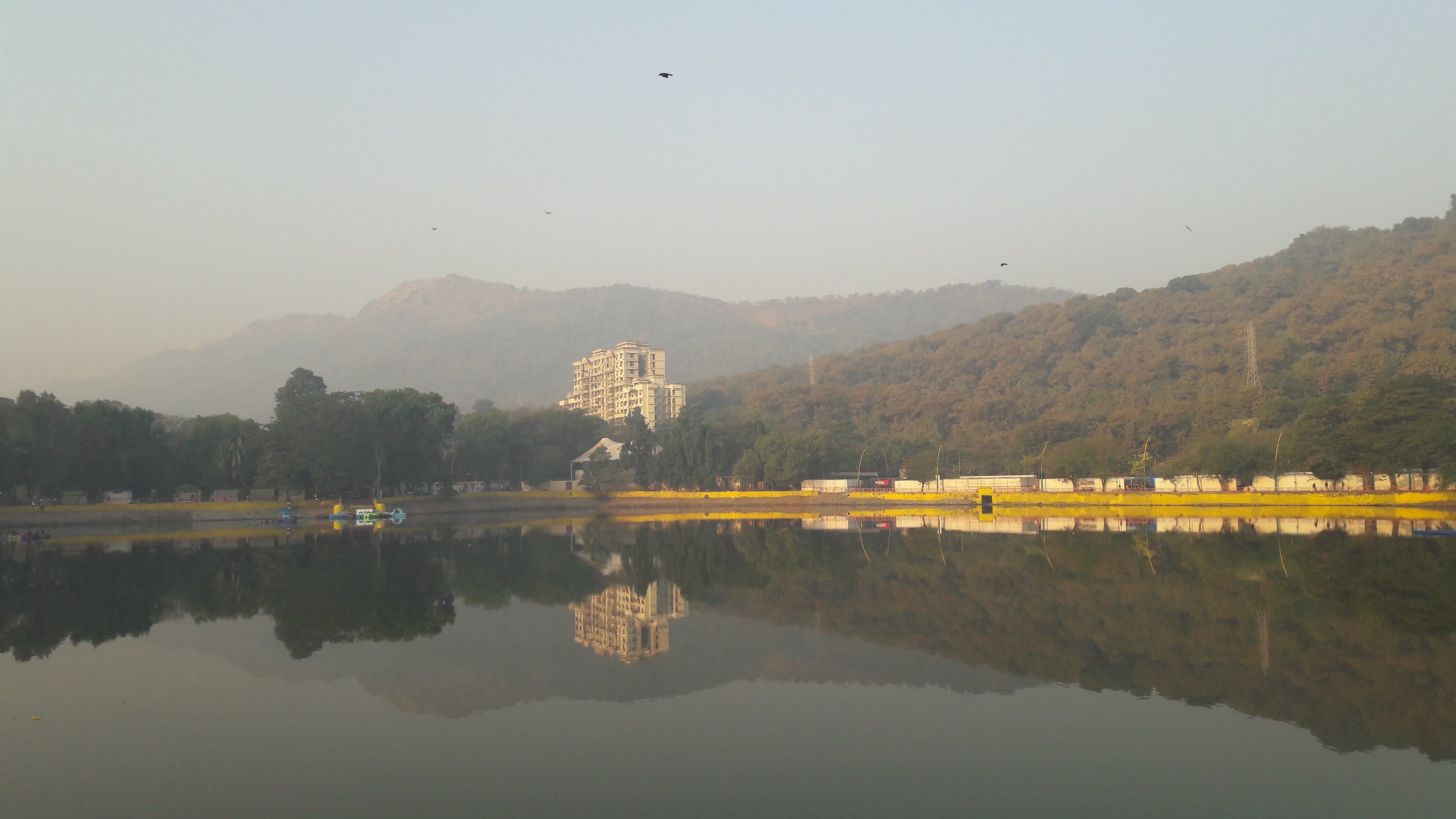 Yeoor Hills - our forest next door - by Giridhar Pai