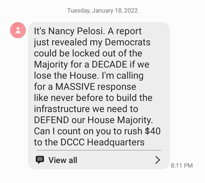 Don't Fall for the Two-Party Scam - by Peter Daou