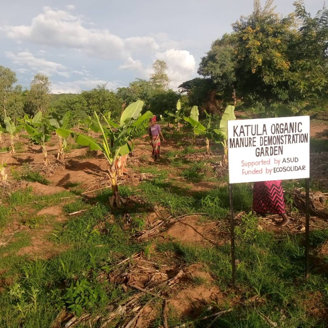 NGO IN NUTRITION IMPROVEMENT THROUGH FARMING