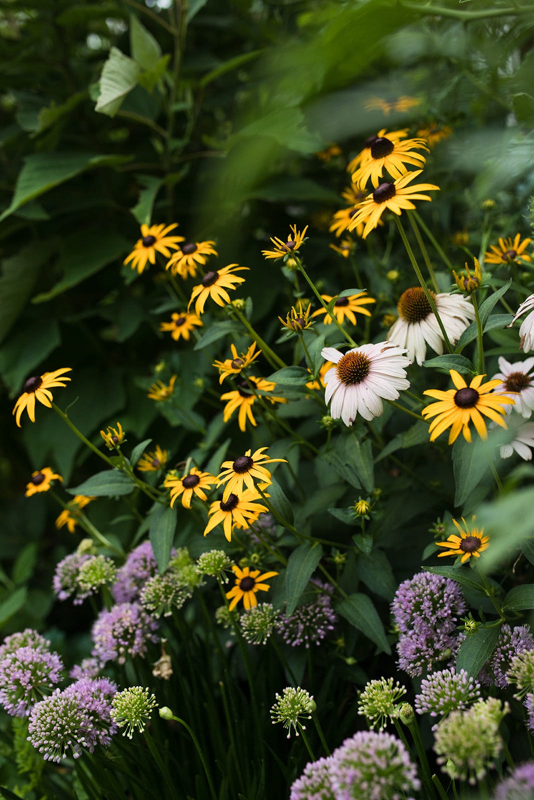 I've been farting around - Ashley Heider Daly