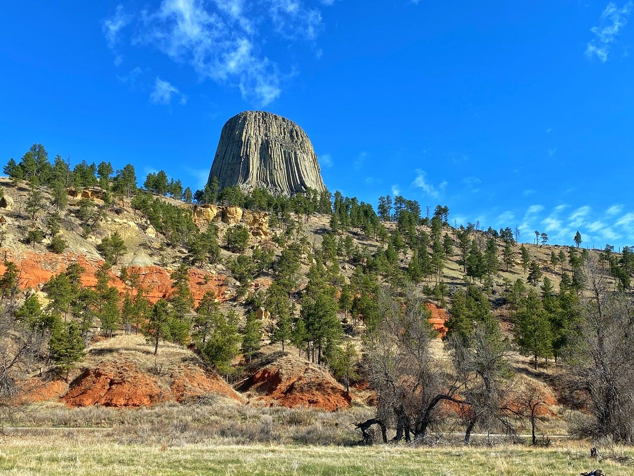 Postcards from the Road: Devils Tower - Tom Ryan, Author