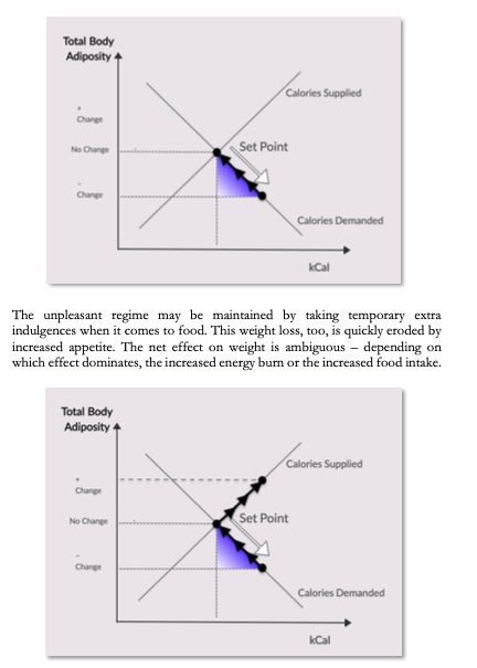 Hormone Optimization 101 - by Charlie Deist