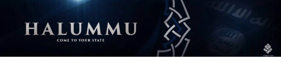 A Brief History of Halummu, the Islamic State-Aligned Translation and ...