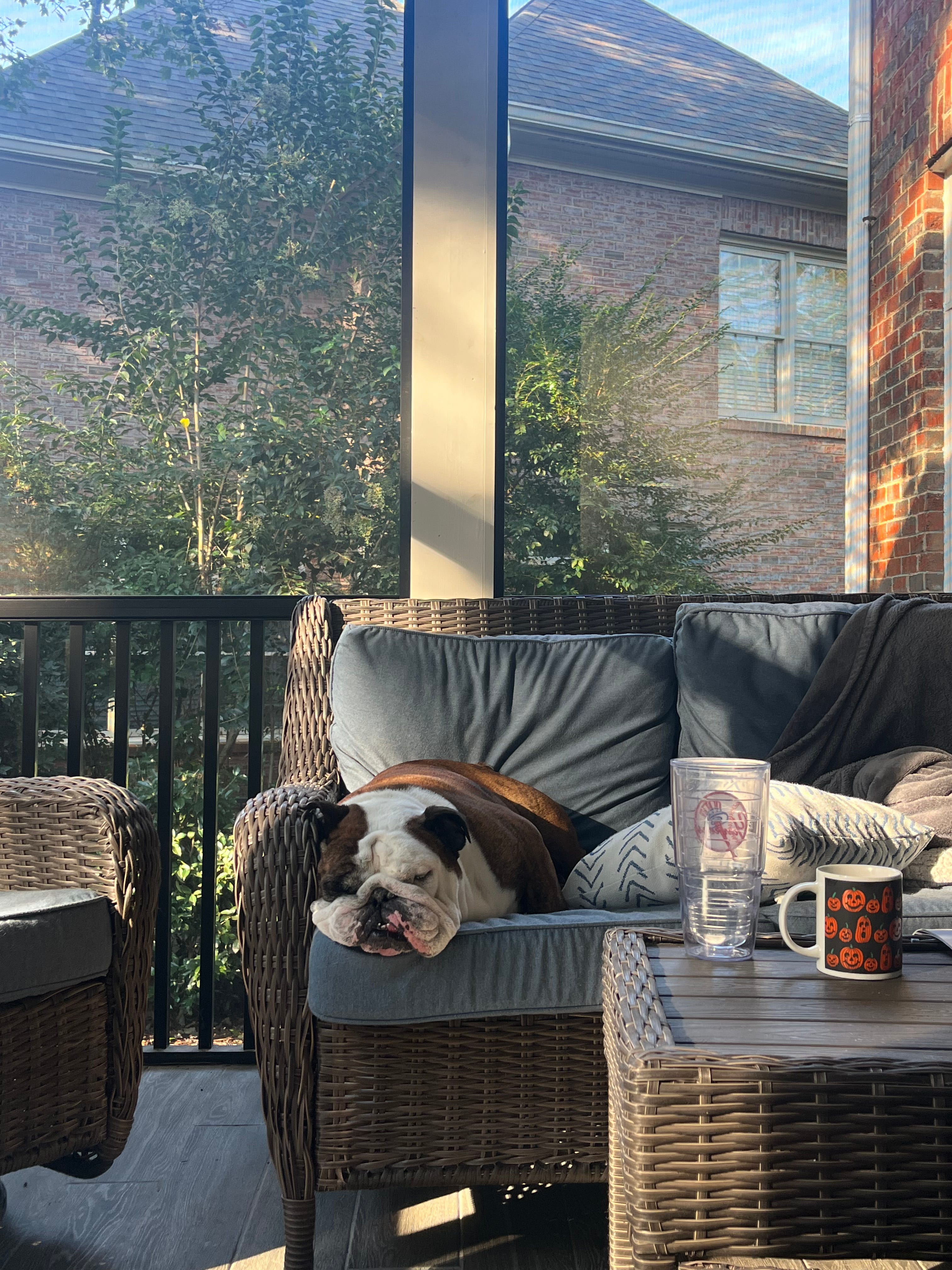 Charlotte, Dopamine, and This - by Kayleigh Ruller